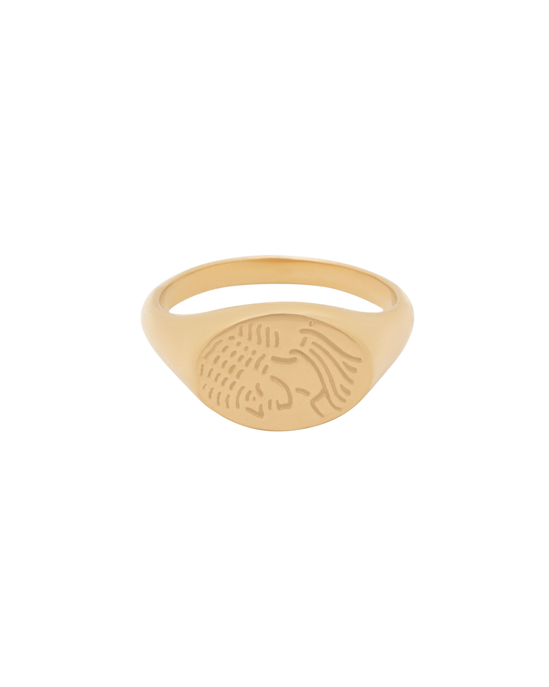 Roma III Signet Ring - Gold Filled – S-kin Studio Jewelry