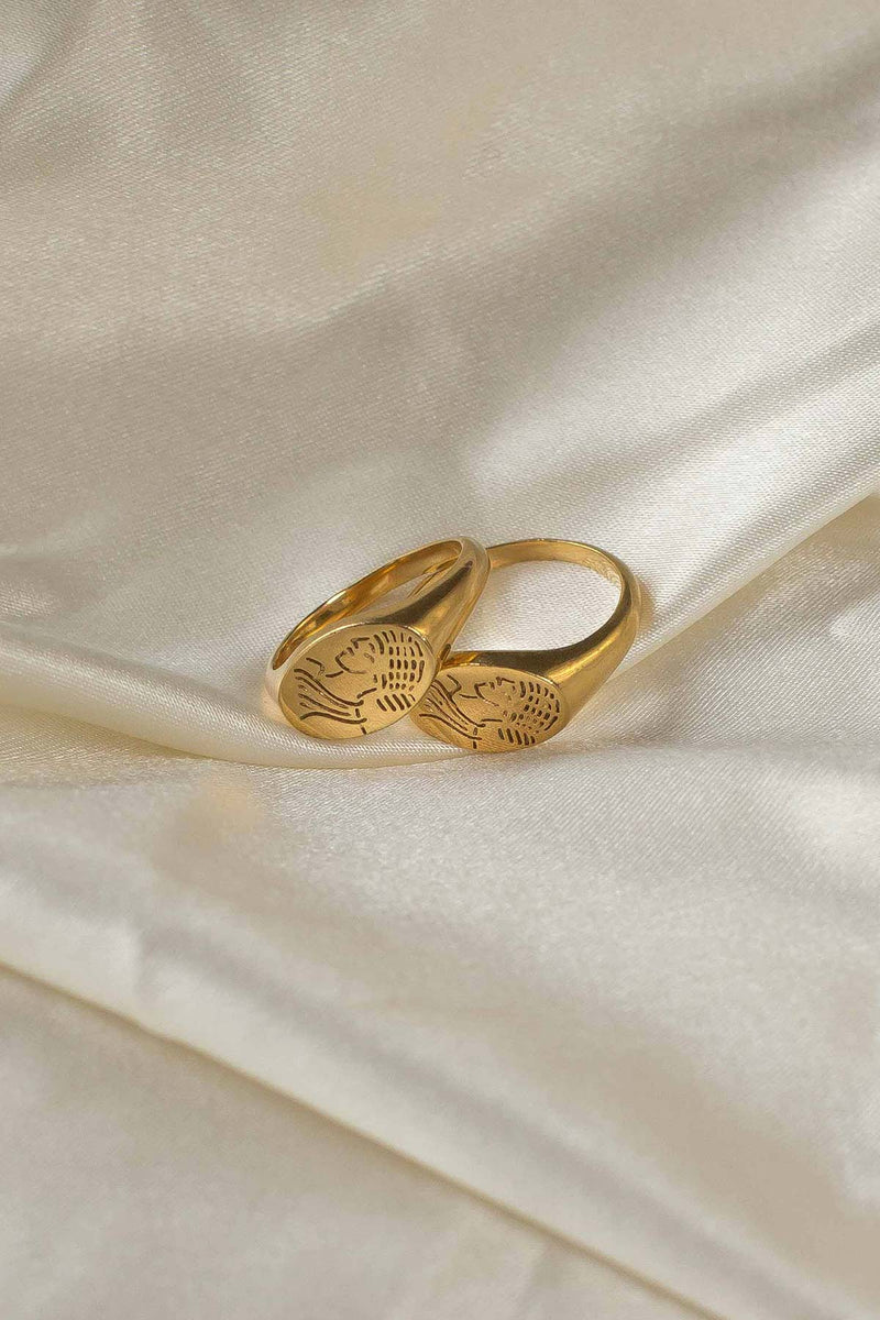 Roma III Signet Ring - Gold Filled – S-kin Studio Jewelry